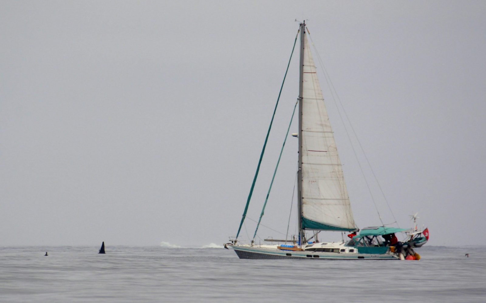 Simushir island-Yankich-36 - Voilier Anthea